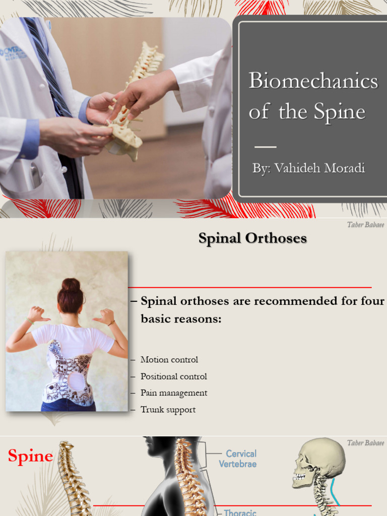 Spine Biomechanics for Professionals | PDF | Vertebral Column | Vertebra