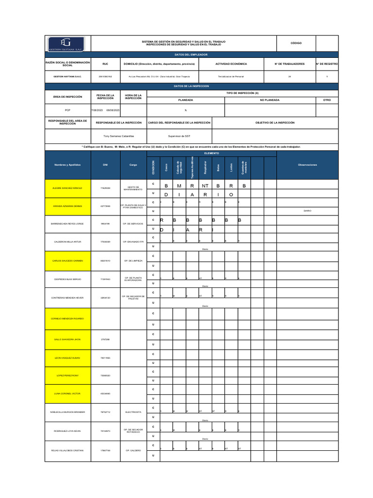 Inspeccion de Epp | PDF