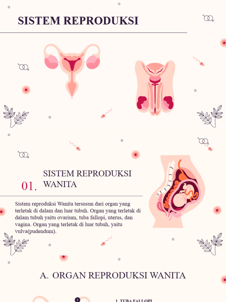 Sistem Reproduksi | PDF | Pengembangan Diri | Kesehatan Holistik