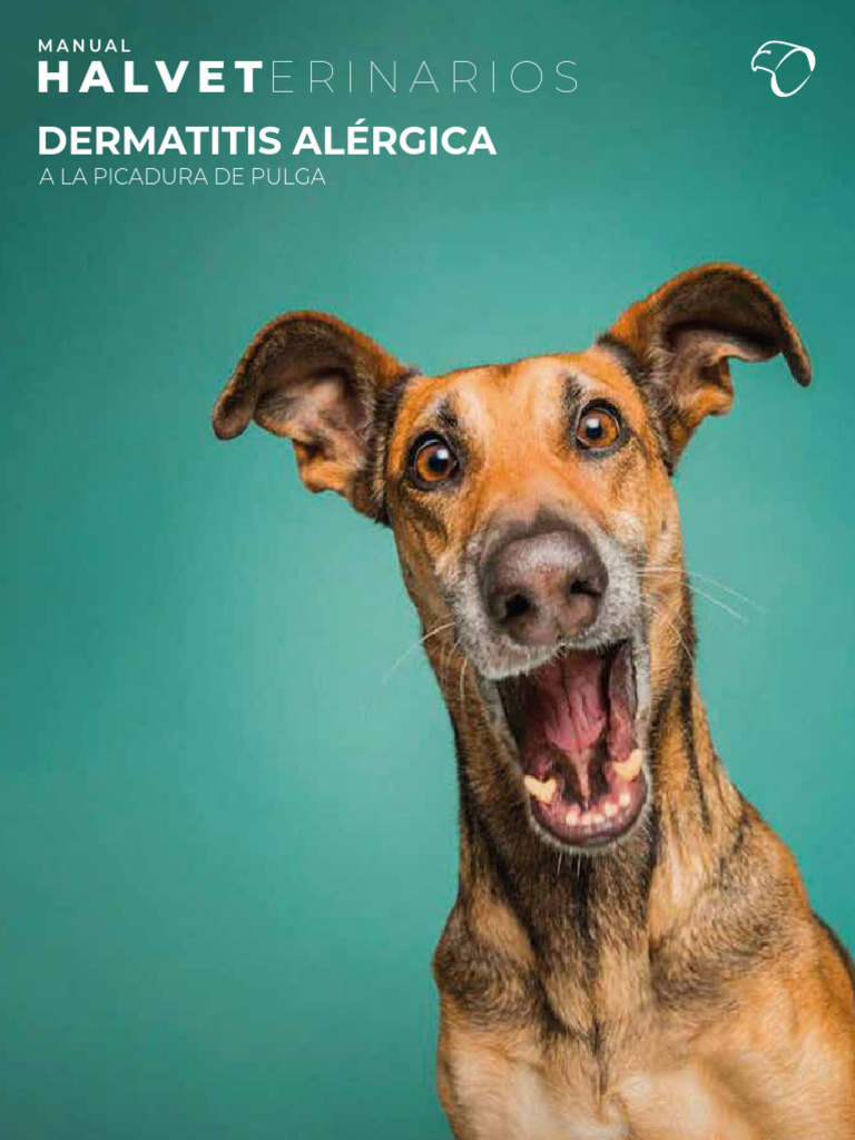 DERMATITIS ALÉRGICA A LA PICADURA DE PULGA | PDF | Alergia | Medicina ...
