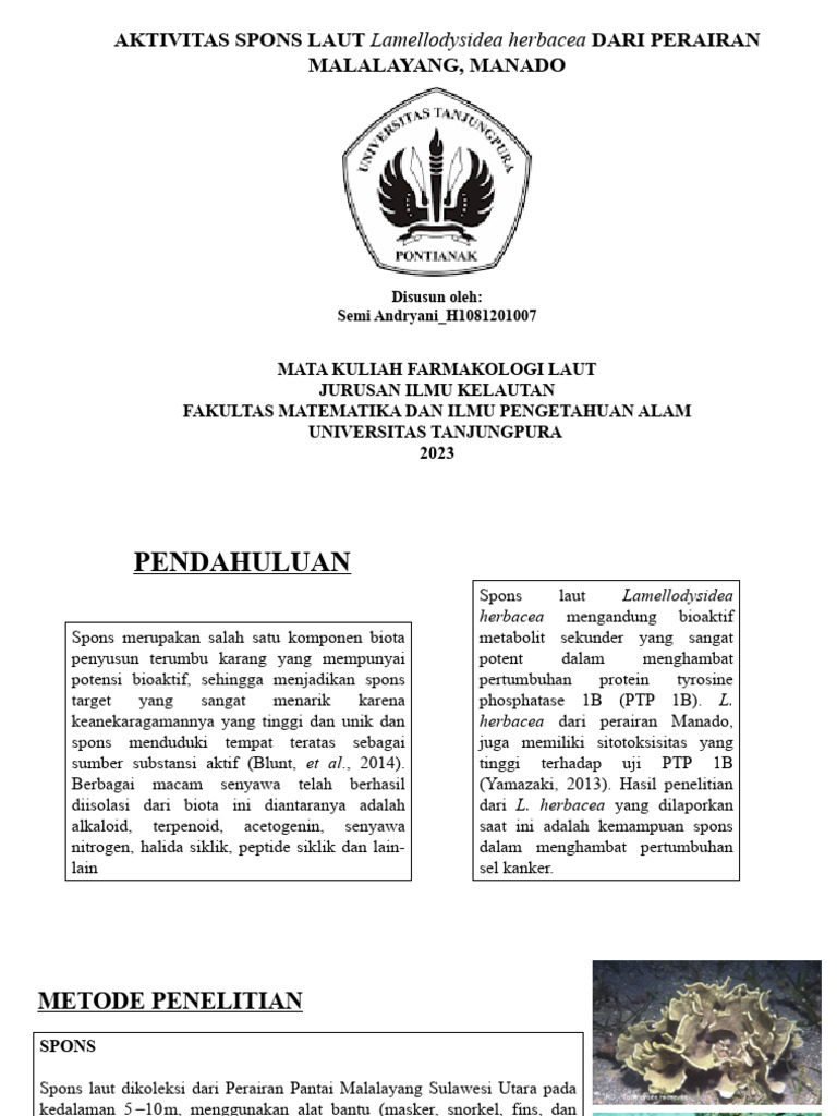 Aktivitas Spons Laut Lamellodysidea Herbacea Dari Perairan Malalayang ...