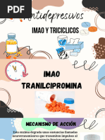 Tryptanol 25 75 CoR Info P Paciente Disp. 5596 22 | PDF | Trastorno ...
