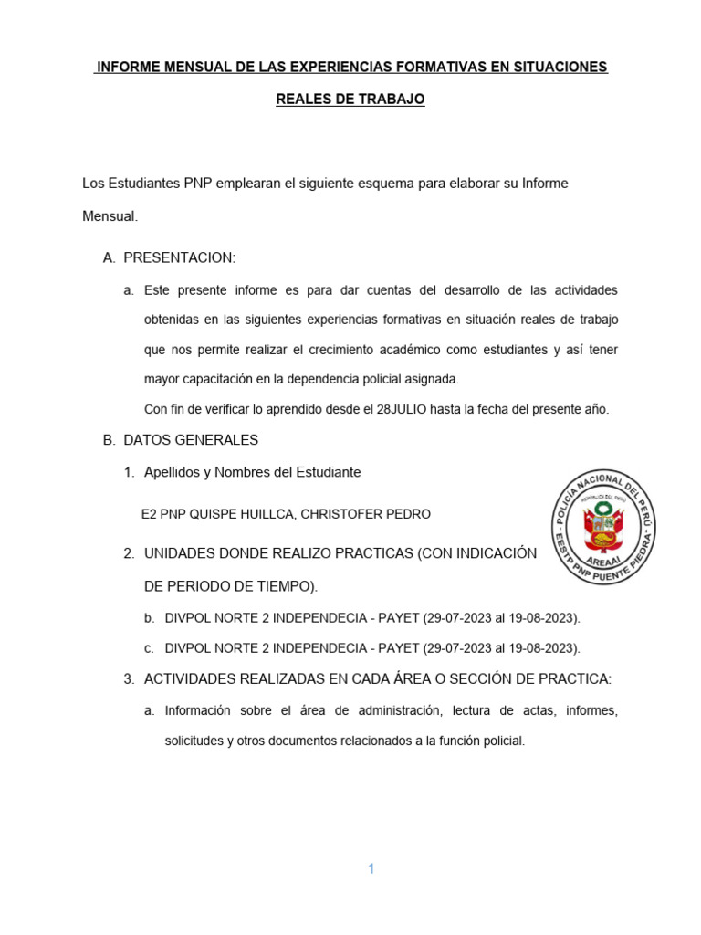 informe PNP | PDF | Policía | Aprendizaje