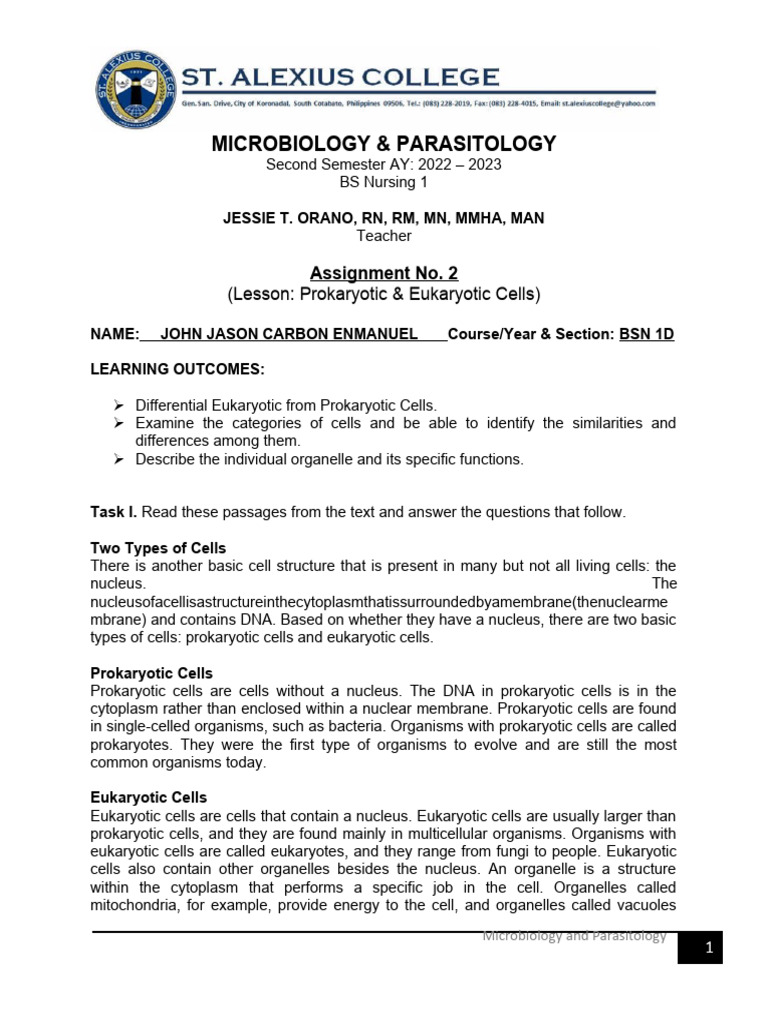 ENMANUEL MC 3 BSN1 Assignment No. 2 Prokaryotic Eukaryotic First Trinal | PDF | Cell (Biology ...
