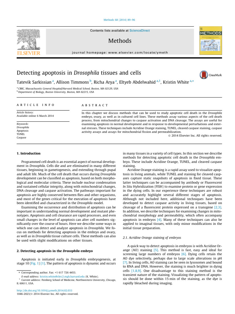 Detecting Apoptosis in Drosophila Tissues and Cells - 2014 - Methods ... Detecting Apoptosis in Drosophila Tissues and Cells - 2014 - Methods ...