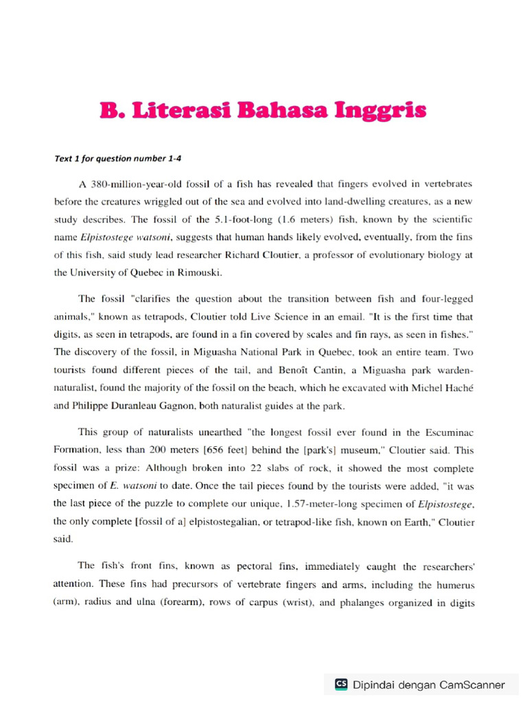 Literasi Bahasa Inggris (1-20) | PDF