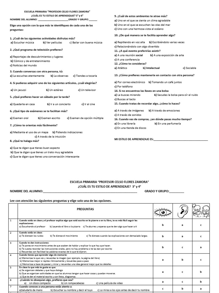 Estilos de Aprendizaje Udeei | PDF