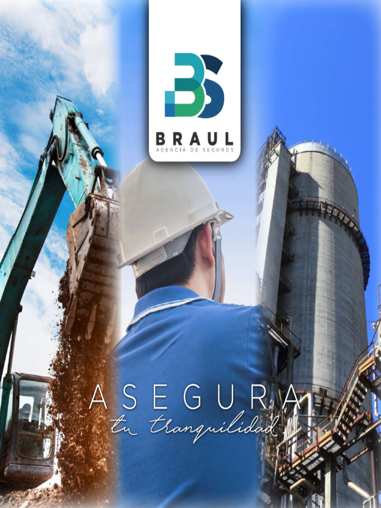 Presentacion Braul Seguros. | PDF