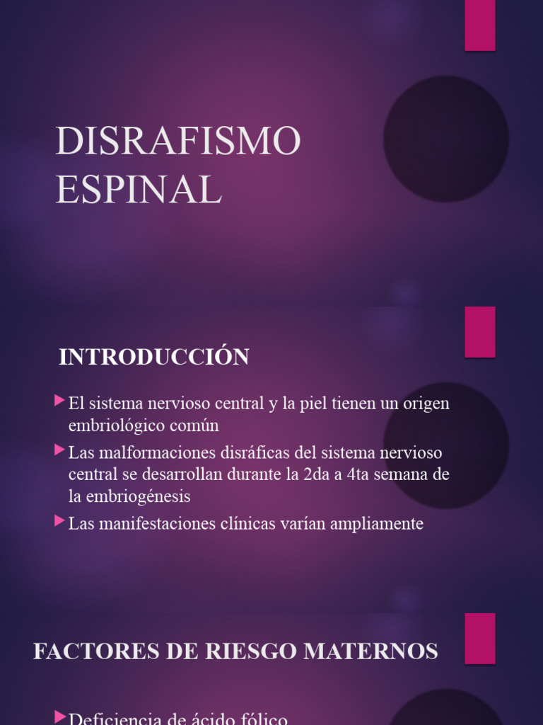 Disrafismo Espinal | PDF | Sistema nervioso | Anatomía humana