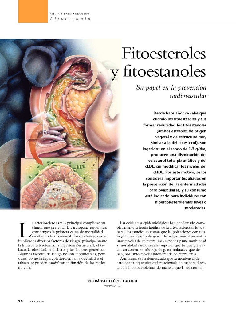 Fitoesteroles y Fitoestanoles: Su Papel en La Prevención Cardiovascular ...