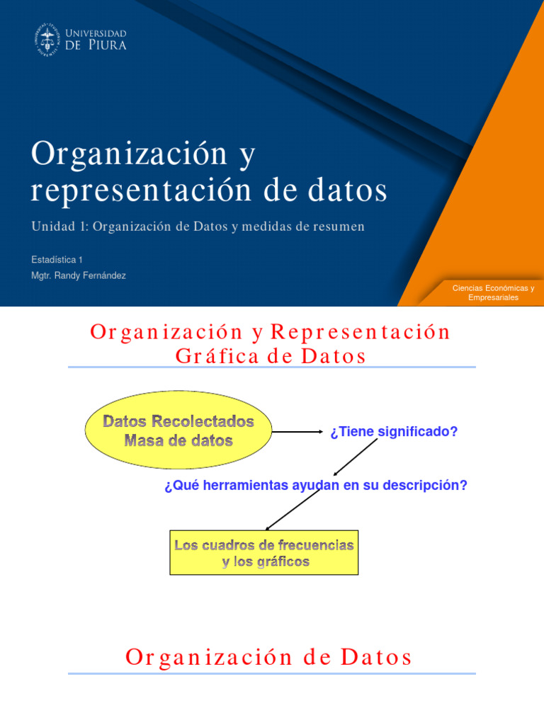 2 Organización y Representación de Datos | PDF | Porcentaje