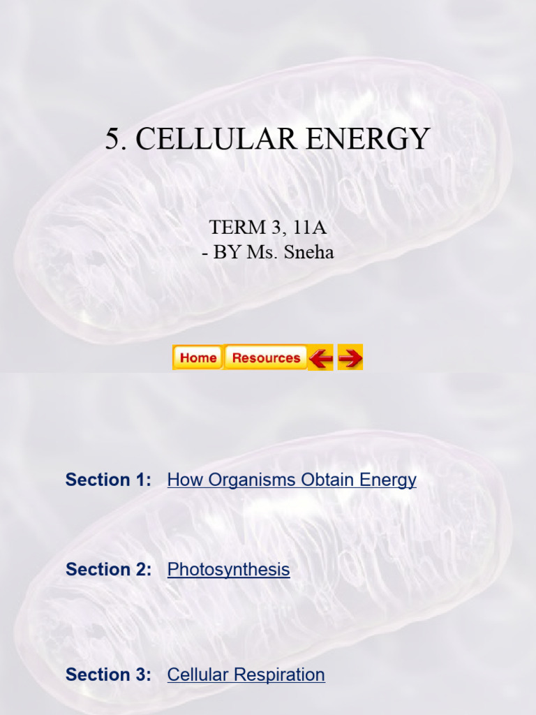 Cellular Energy Resp Photo | PDF | Cellular Respiration | Adenosine ...