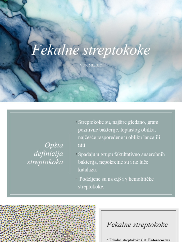 Fekalne Streptokoke | PDF