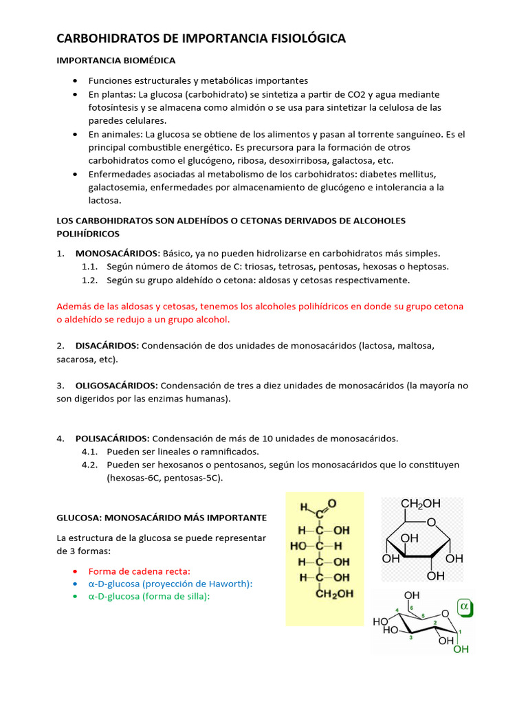 Carbohidratos de Importancia Fisiológica - Resumen Harper | PDF | Carbohidratos | Glucosa