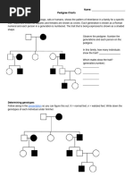 Answer Key - Genetic Packet | PDF | Dominance (Genetics) | Genotype