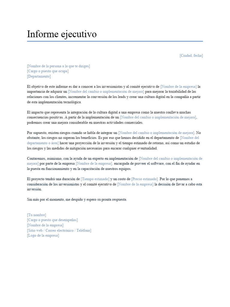 PLANTILLA INFORME EJECUTIVO | PDF