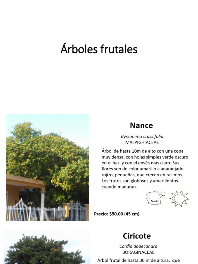 Arboles Frutales | PDF | Hogar, jardinería y bricolaje | Arte