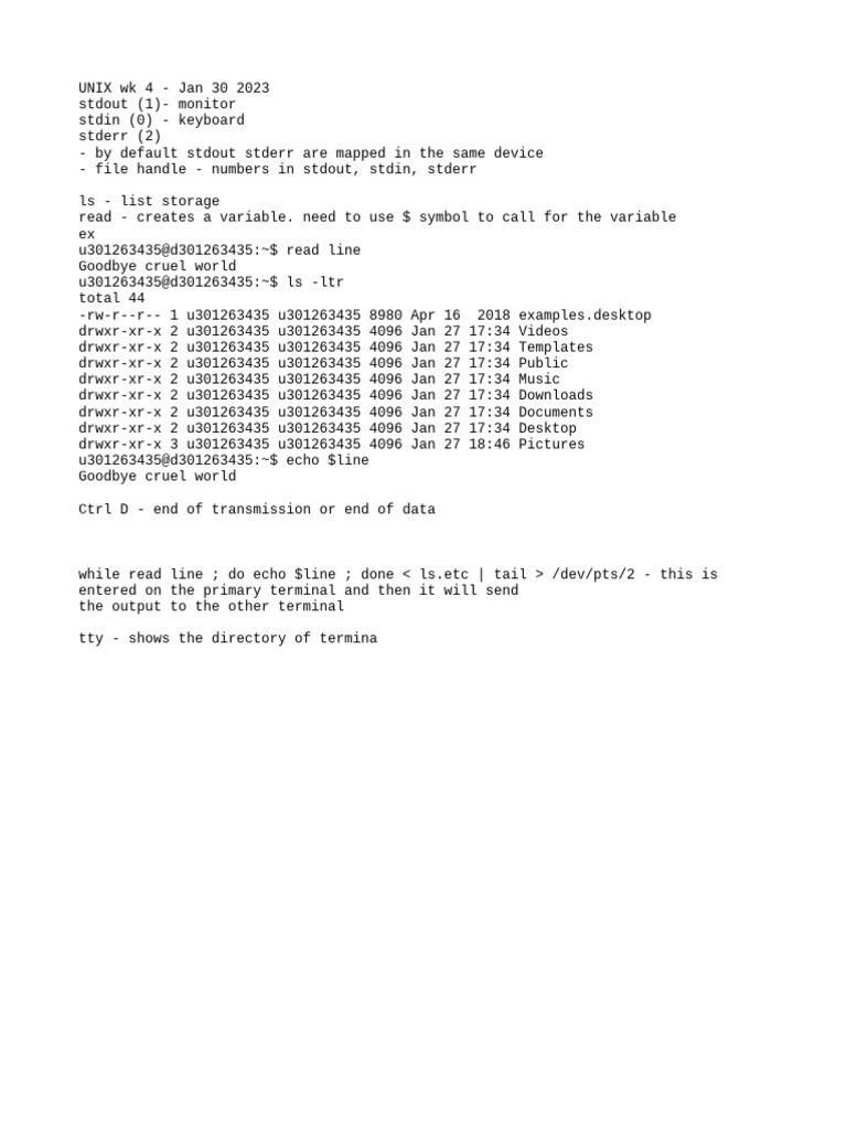 UNIX Week 4 | PDF | Computers