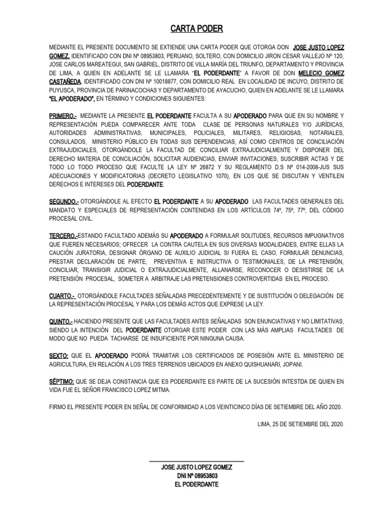 Carta Poder-Simple | PDF | Ley procesal | Gobierno