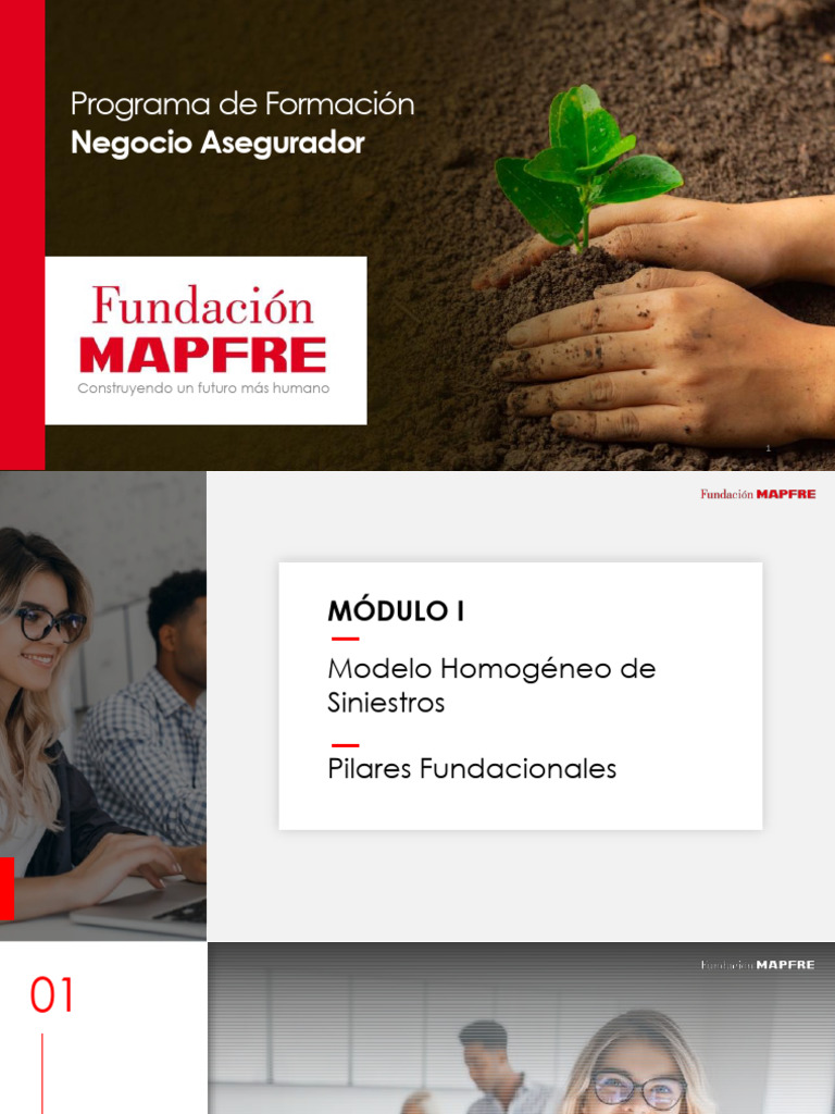Programa de Formación Negocio Asegurador | PDF | Reaseguro | Póliza de seguros