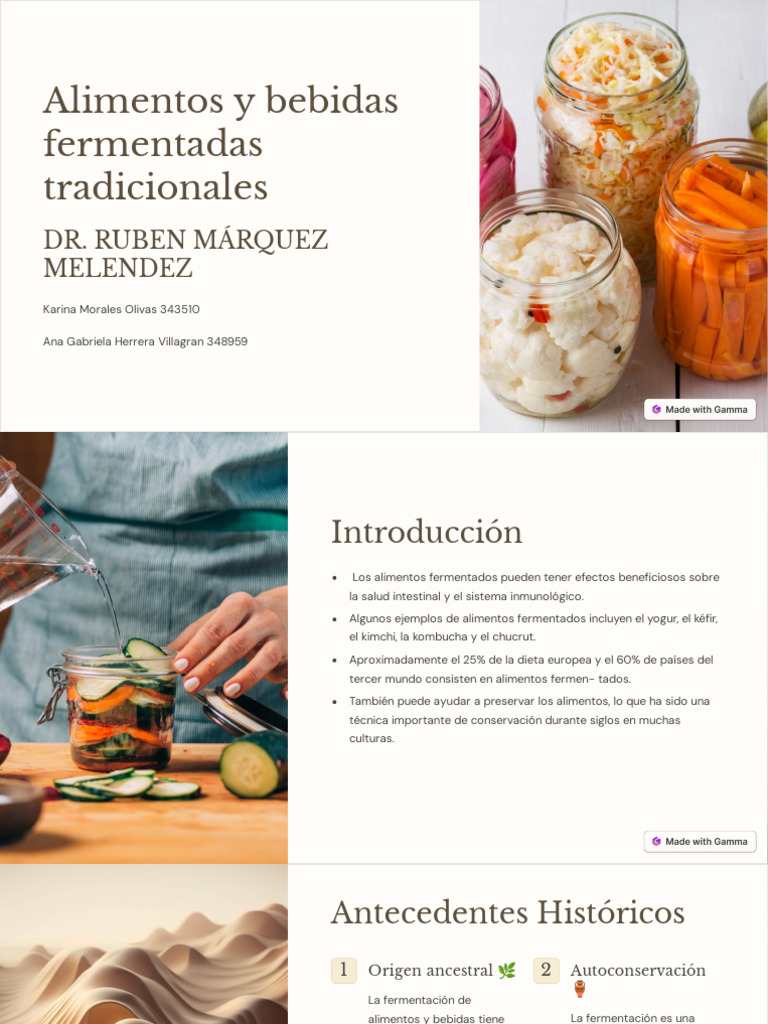 Alimentos y Bebidas Fermentadas Tradicionales | PDF | Fermentación | Alimentos
