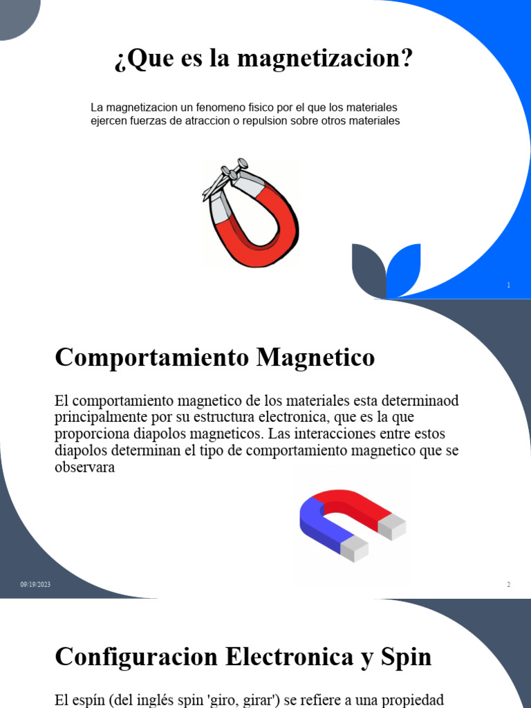 Que Es La Magnetizacion | PDF