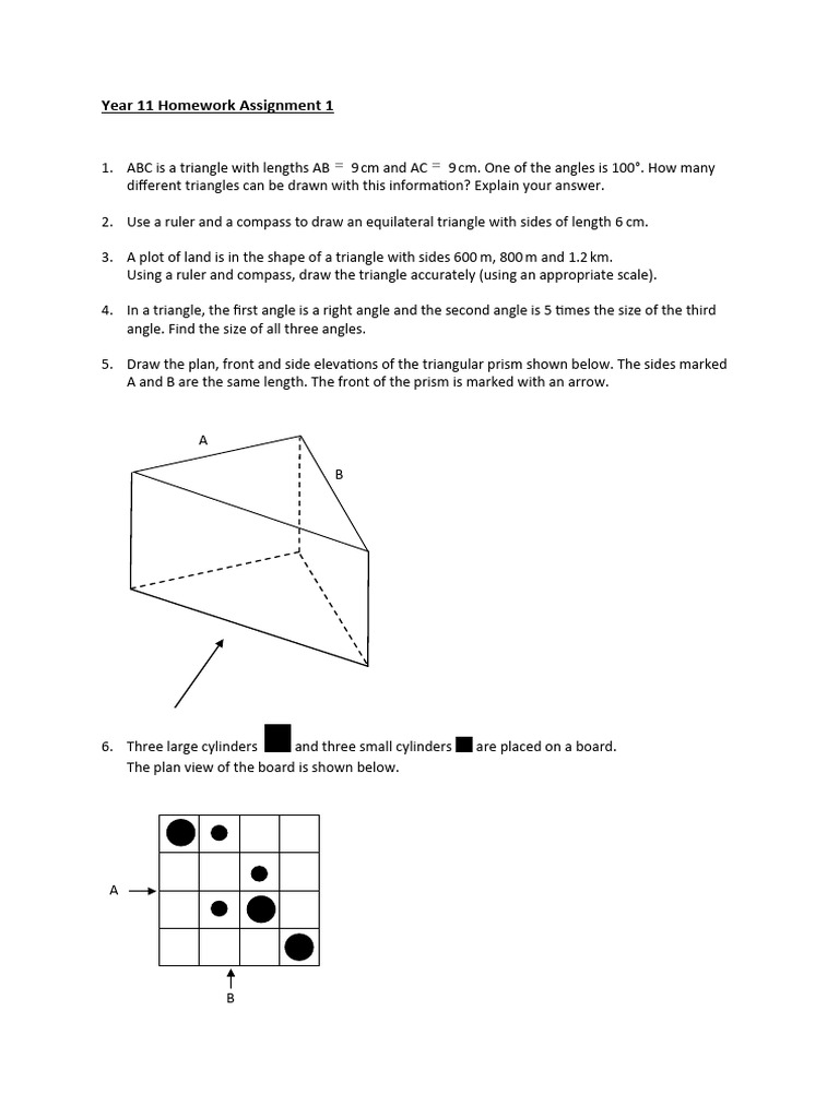 Year 11 Triangle Geometry Homework | PDF
