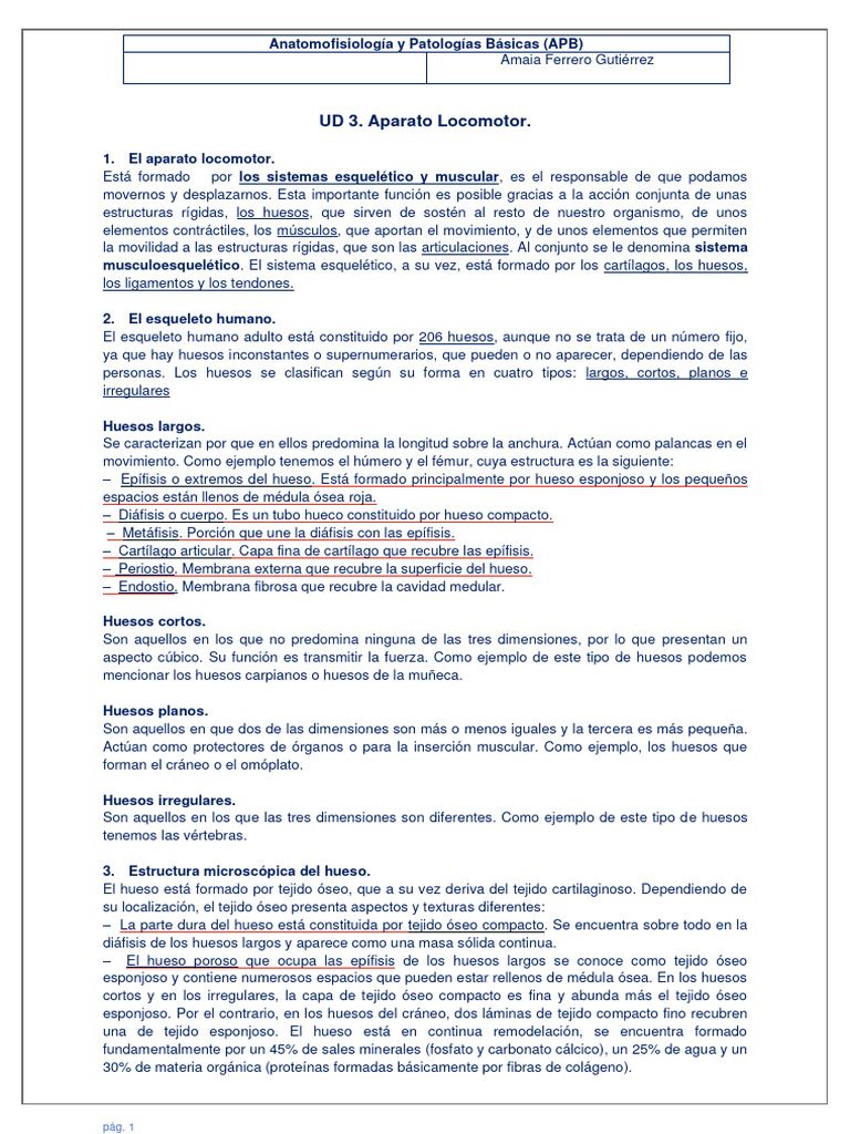 U3 Apb Resumen Aparato Locomotor | PDF | Músculo esquelético | Hueso