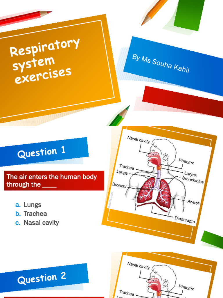 Respiratory System Exercises | PDF | Language Arts & Discipline ...