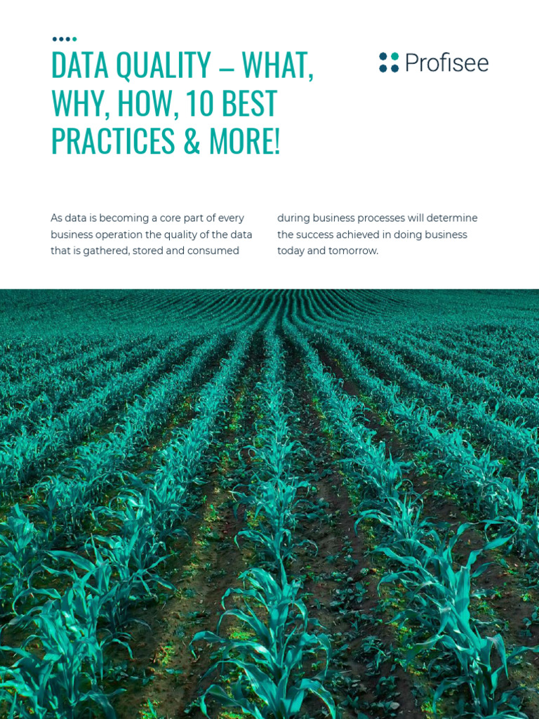 The What, Why and How of Data Quality | PDF | Data Quality | Data
