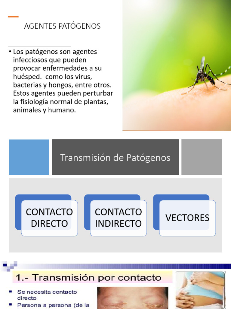 Agentes Patogenos Clase 5 - 1 | PDF