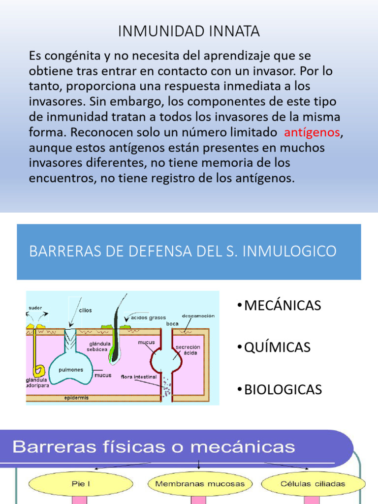 Barreras Del Sistema Inmunologico Clase 2-1 | PDF