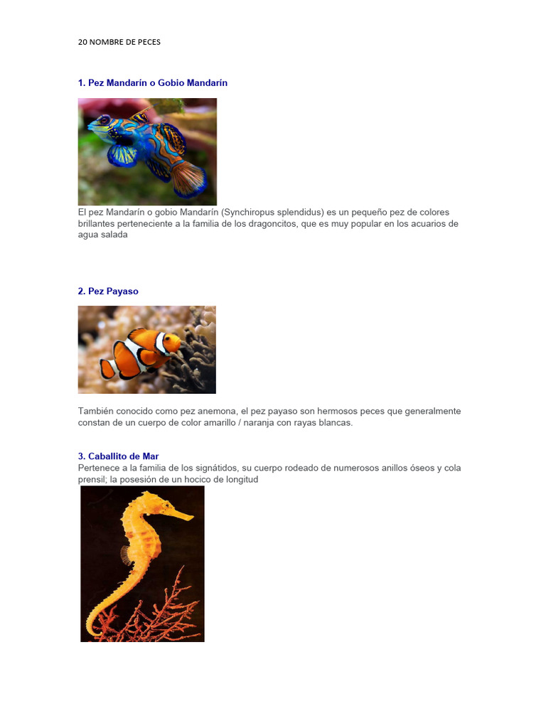 15 Nombre de Peces | PDF | Pescado | Animales acuáticos