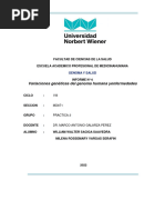 Perfil ENA y detección de autoanticuerpos | PDF | Anticuerpo | Bioquímica