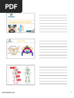 Anatomia e Função do Sacro | PDF | Coluna vertebral | Anatomia