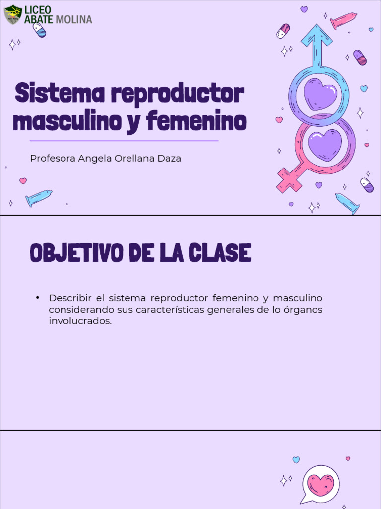 Sistema Reproductor Masculino y Femenino | PDF | Semen | Sistema reproductivo