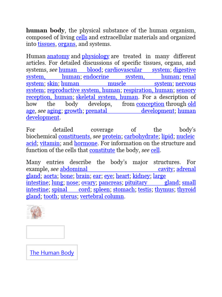 Human Body | PDF