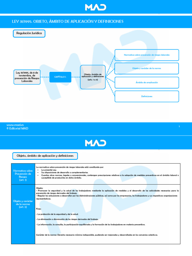 LEY DE PREVENCIÓN DE RIESGOS-Esquema Capítulo 1 | PDF | Derecho laboral | Valores