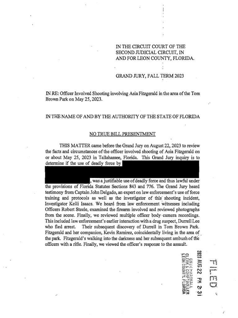 COPY No True Bill 8-22-23 Redacted | PDF | Grand Jury | Police