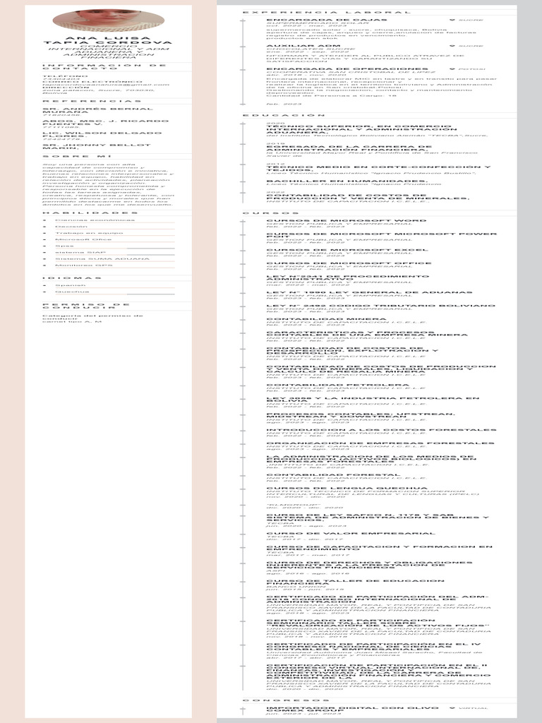 CV Ana Luisa 2023 | PDF | Contabilidad | Bolivia