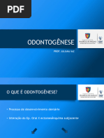 Odontogenese Texto | PDF | Dente | Áreas da odontologia