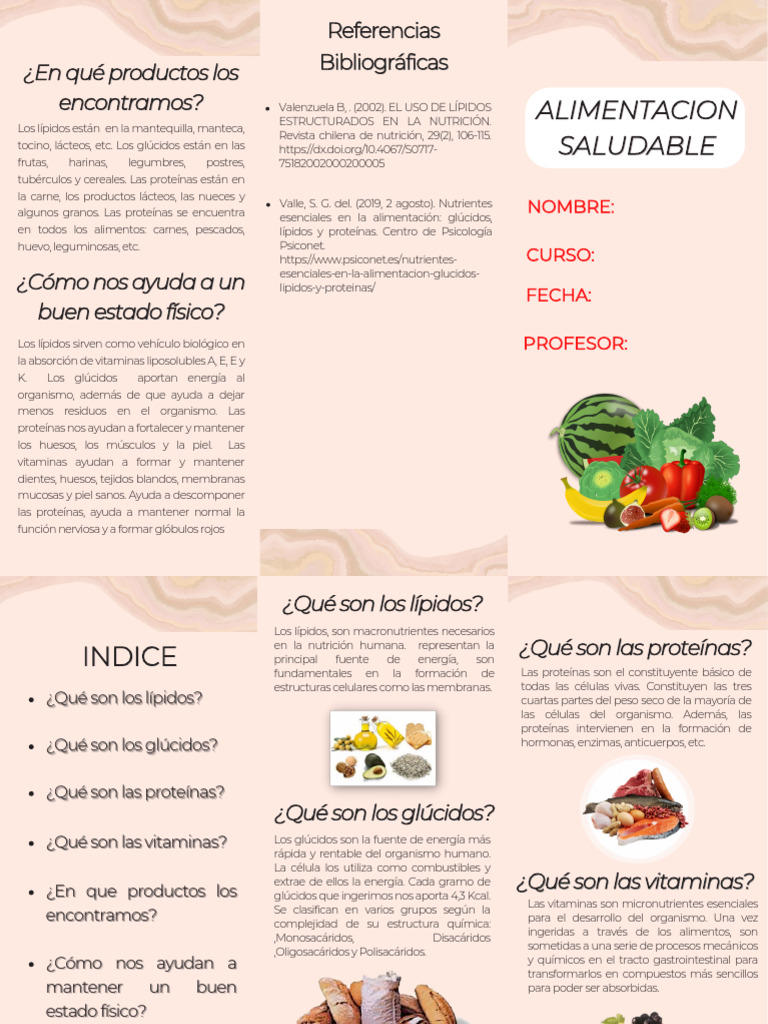 Triptíco de Alimentación Saludable | PDF | Carbohidratos | Nutrición