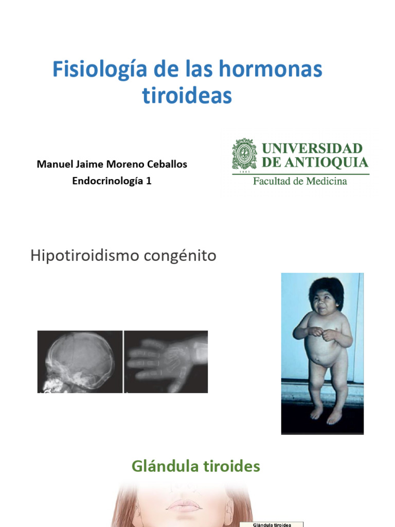 4 Glandula Tiroides | PDF | Tiroides | Hormona estimulante de la tiroides