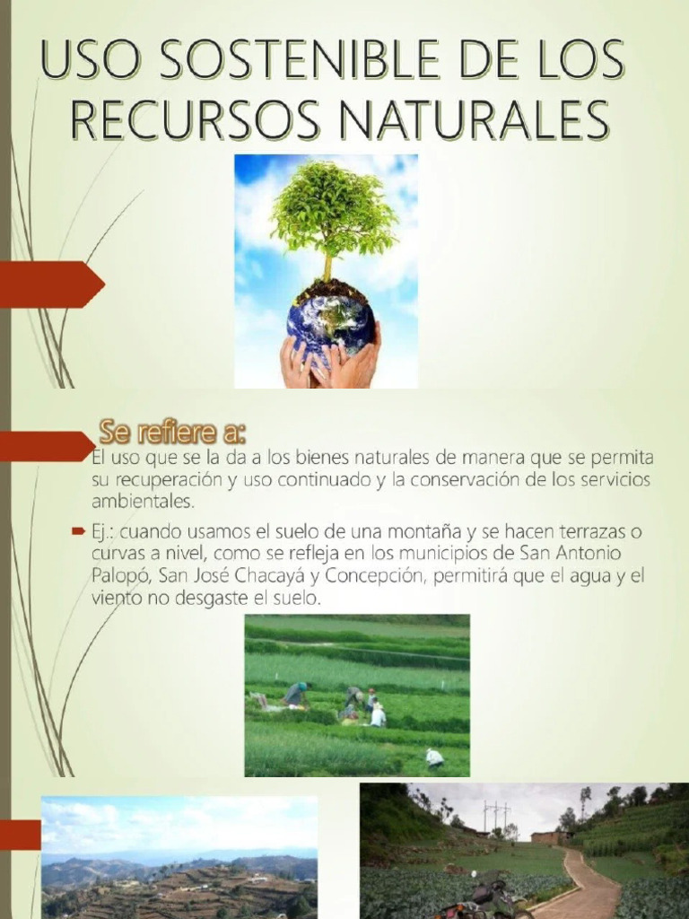 Uso Sostenible de Recursos Naturales | PDF