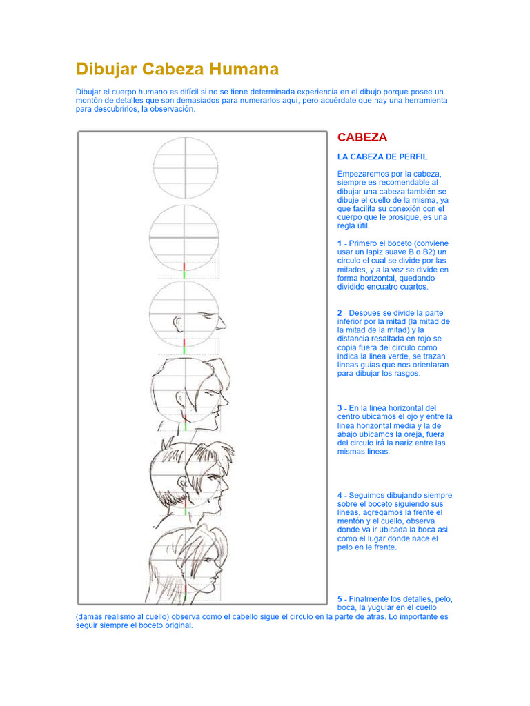 Dibujar Cabeza Humana Pdf