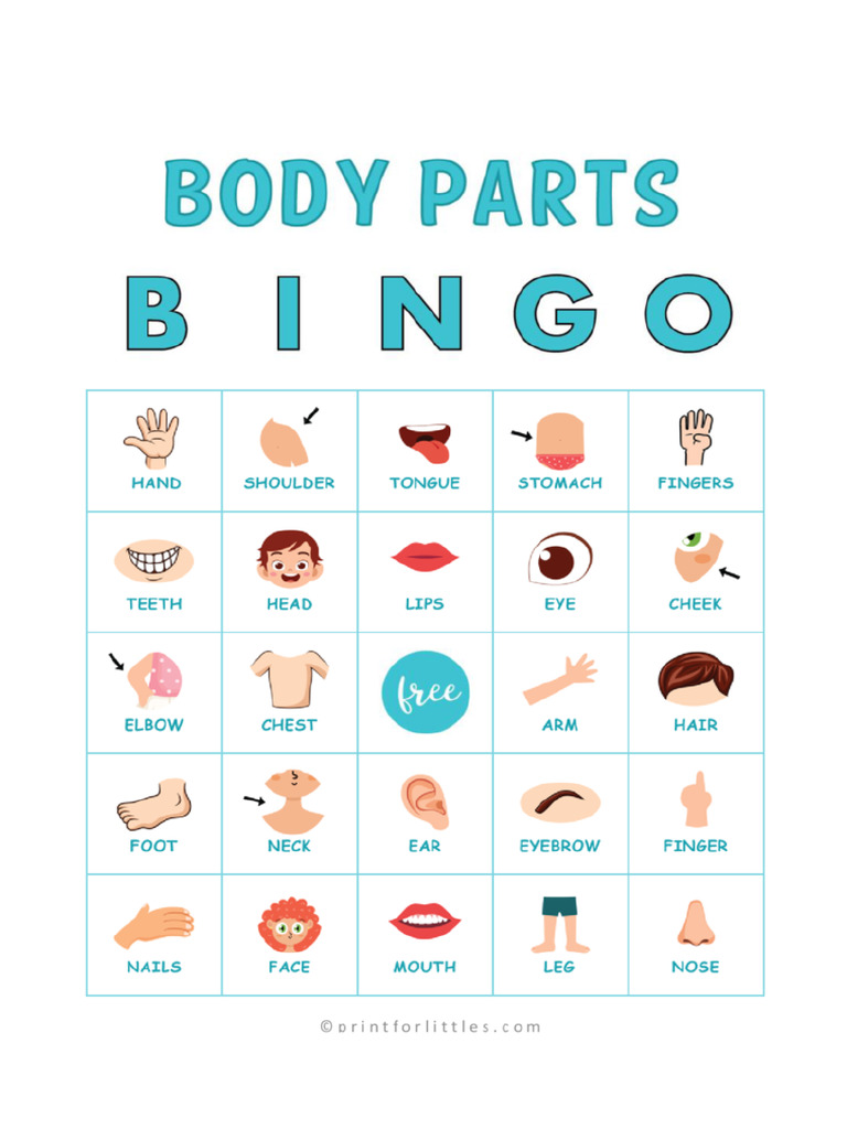 Body Parts Bingo | PDF