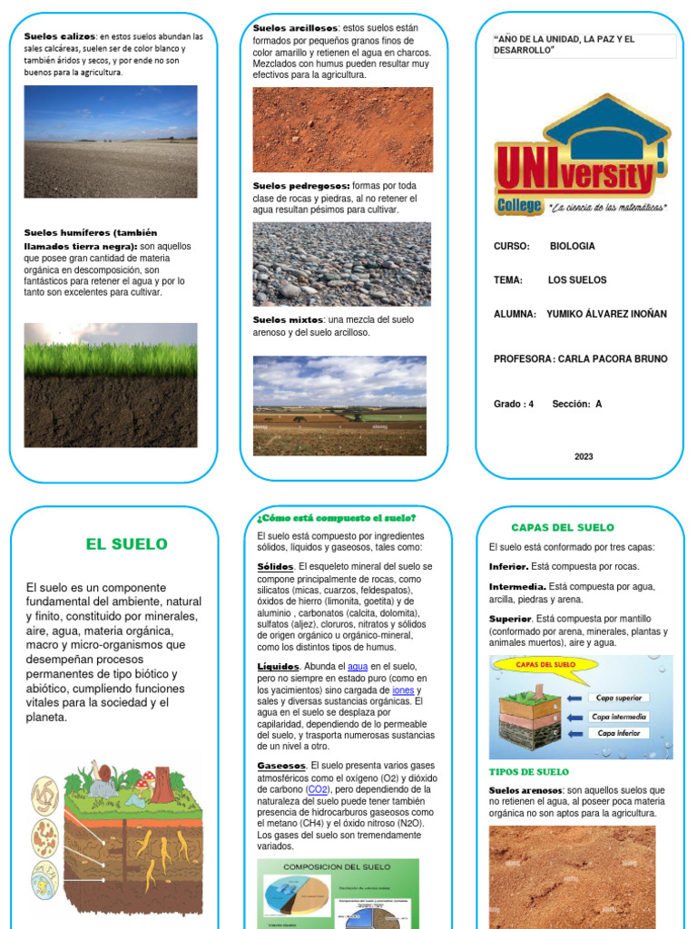 Triptico de Yumiko Los Suelos | PDF | Suelo | Agua