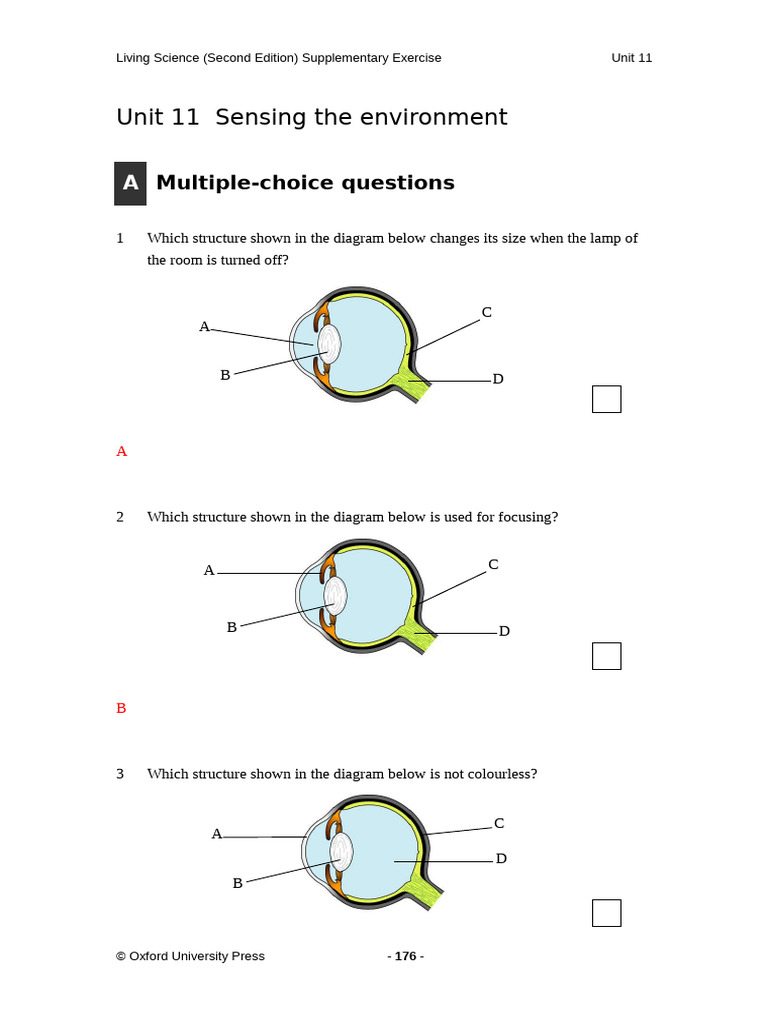 Supp (1) - Ex. - 11 Sensing The Environment | PDF | Eye | Ear