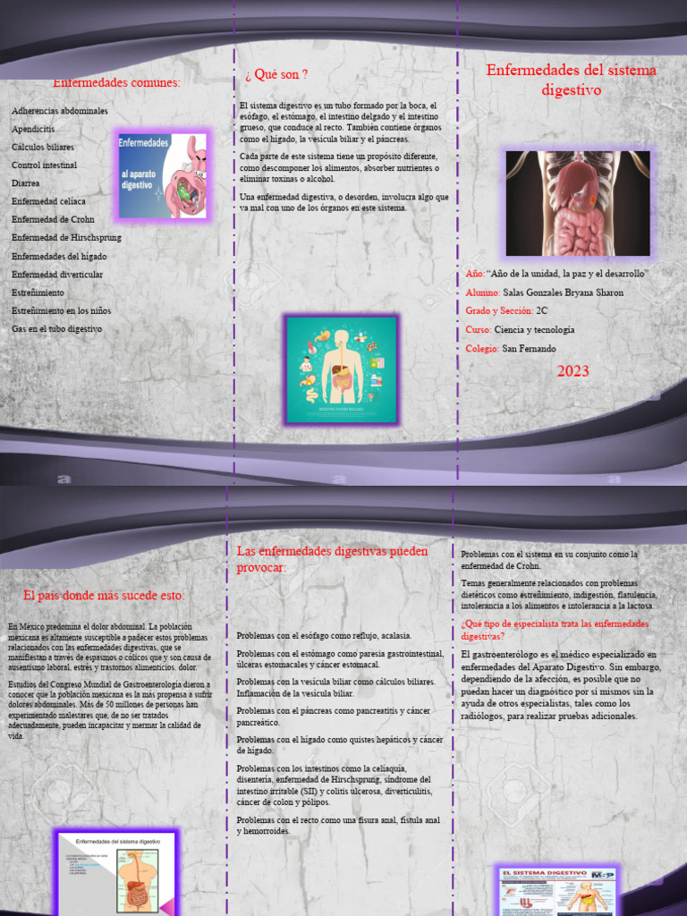 4° triptico | PDF | Especialidades Medicas | Enfermedades y trastornos humanos