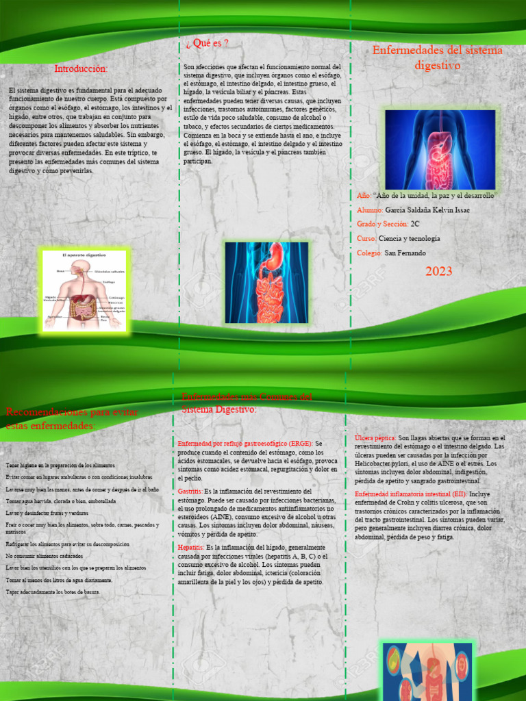 2° Triptico | PDF | Sistema digestivo humano | La enfermedad por reflujo gastroesofágico